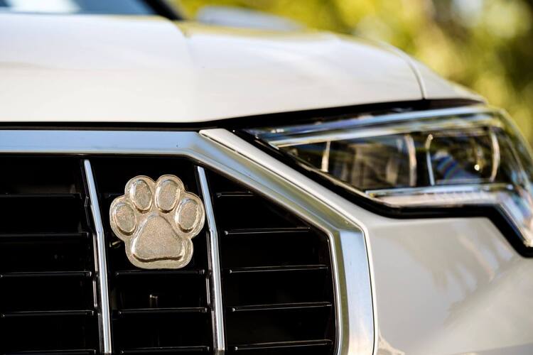 Car & Truck Custom Grille Emblems, Decorations & Ornaments - Grillie