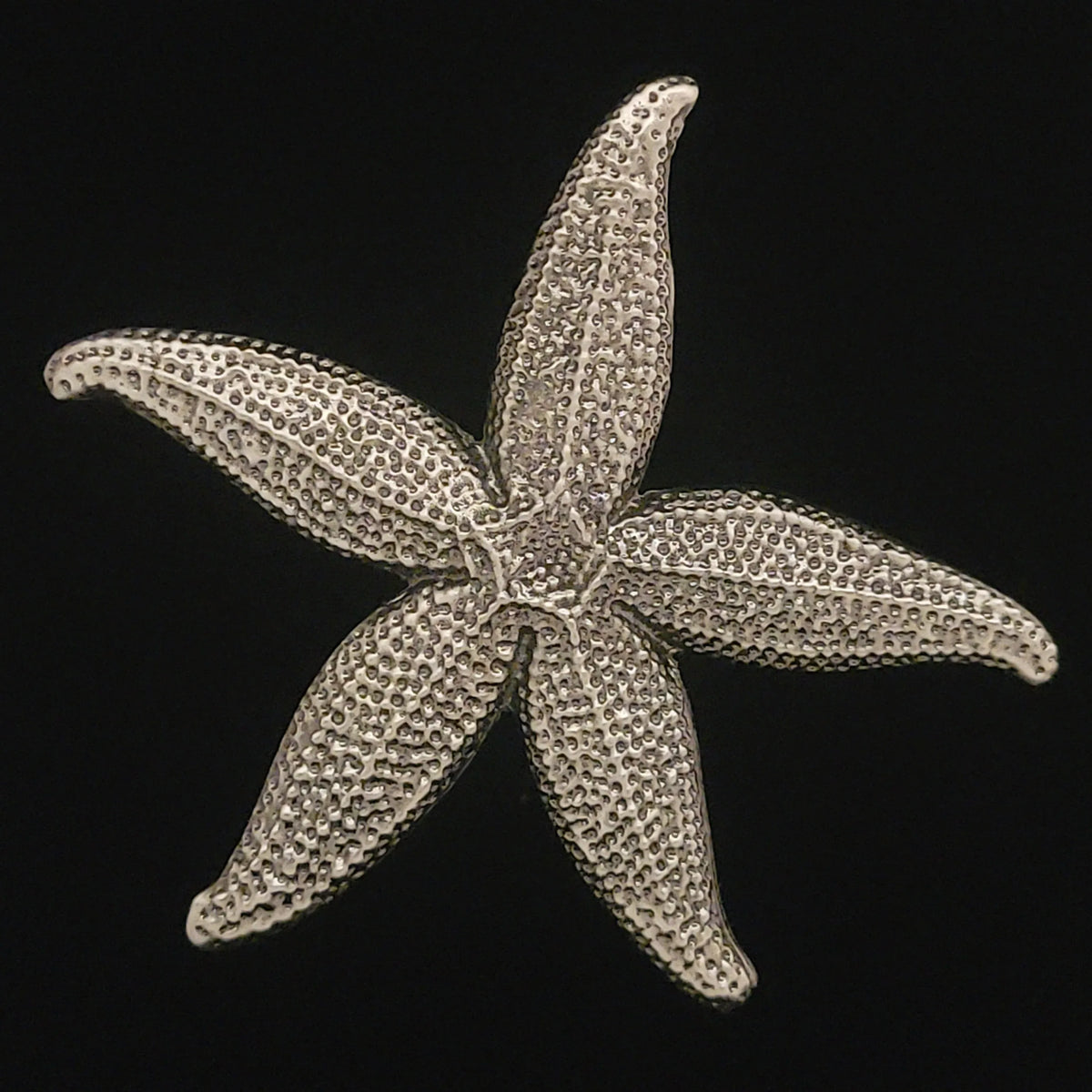 Starfish - Free Shipping – Grillie