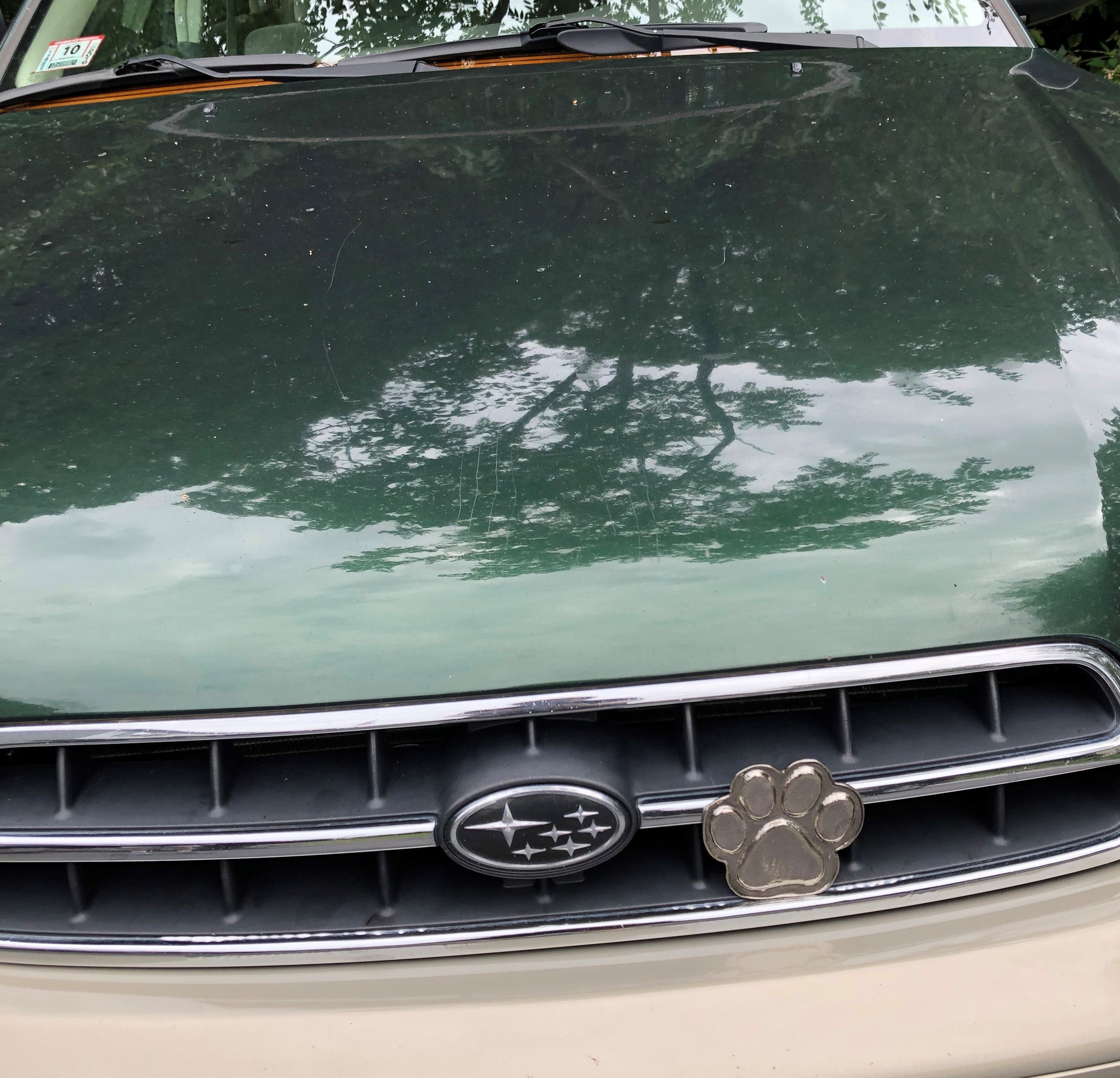 Gift for Dog Lovers - Custom Paw Print Car & Truck Grilles – Grillie