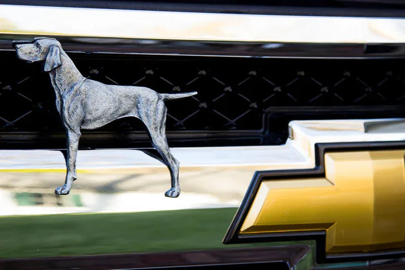 Gifts for Pointer Lovers - Custom Pointer Car & Truck Grilles – Grillie