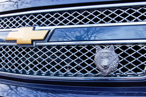 Gifts for Wolf Lovers - Custom Wolf Car & Truck Grilles – Grillie
